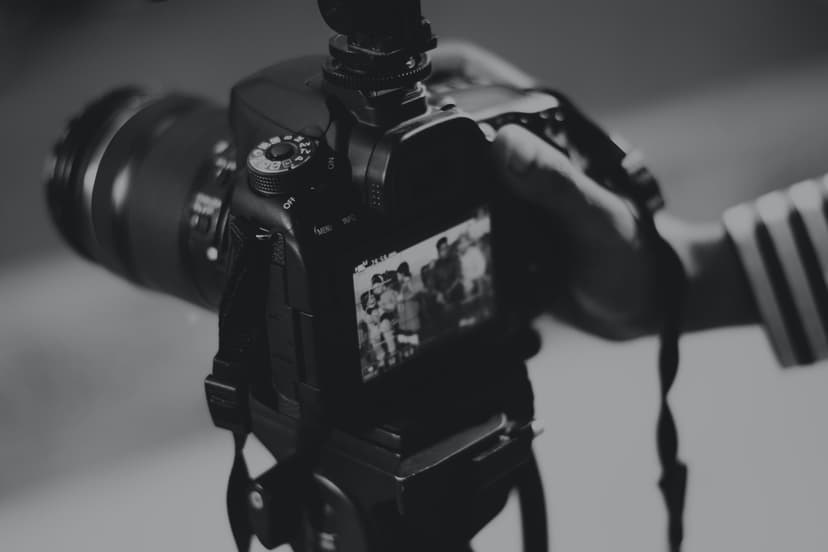 The Picture Place - PROFESSIONAL PHOTOGRAPHY